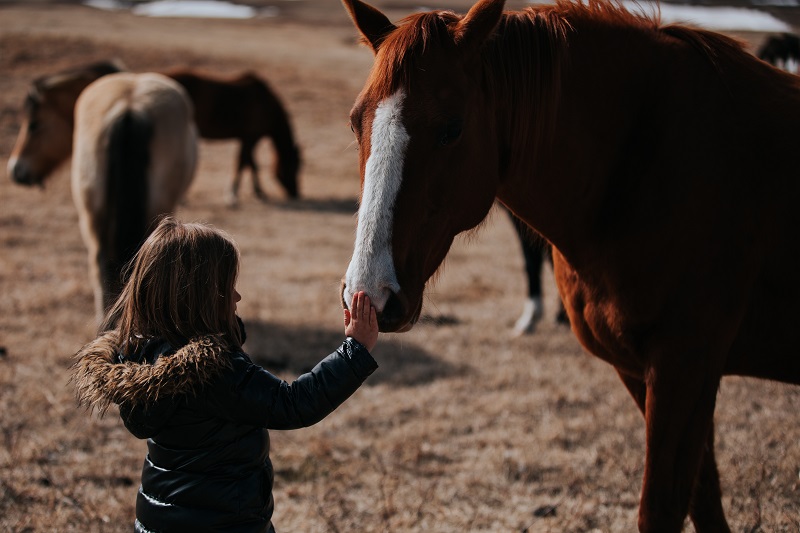 Horseback Riding Vacations - Historic Reesor Ranch ATV Tours